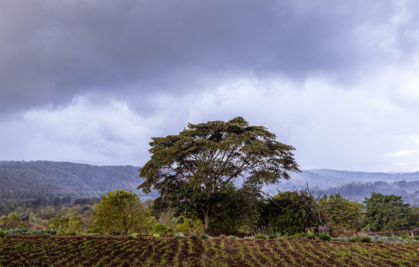 Highview Hotel - Top luxury safari lodge in Tanzania